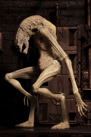 Newborn neca store